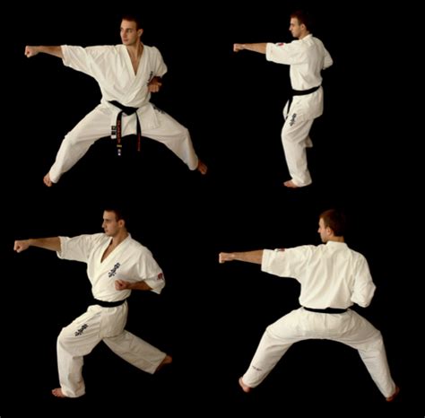 Seiken Jun Tsuki Kenshin Dojo Thieuseneffe