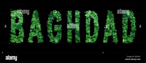 Baghdad Lettering Baghdad Forest Ecology Concept On Black Clipping