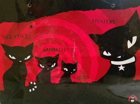 Emily The Strange Dark Gothic Cats Cartoon Illustration In 2025 Emily