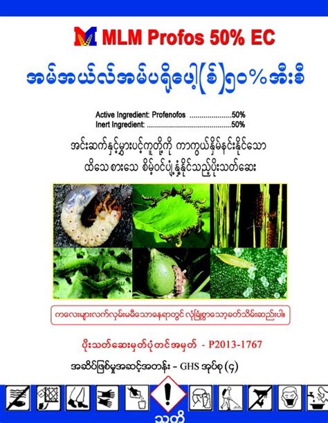 အစိမ်းရောင်လမ်း အမ်အယ်လ်အမ် ပရိုဖော့စ်