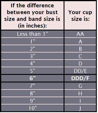 Ddd Cup Size Same As F Cup Size Ultimate Guide 2023