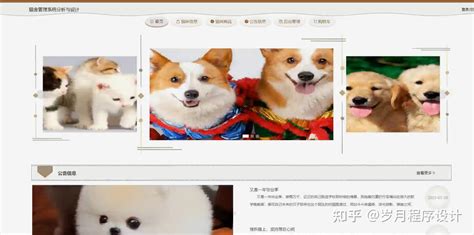 开题报告 Java计算机毕业设计猫舍管理系统分析与设计（附源码） 知乎