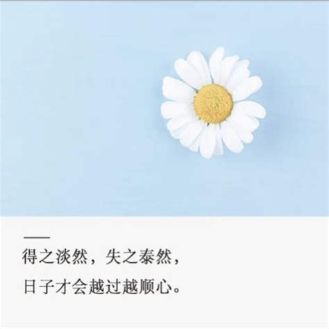 R是什么意思