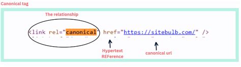 guide to canonical tags and how to audit them sitebulb