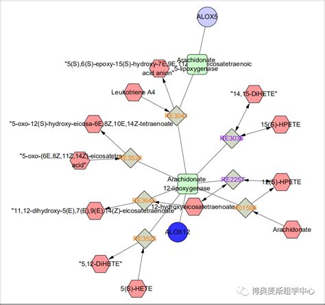 多组学联合分析的工具及其教程收集？ 知乎