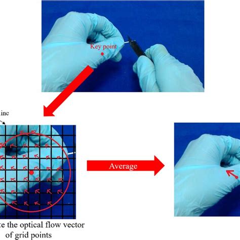 Zeyang Xia Professor At Chinese Academy Of Sciences Director Of Cassiat Soft Robotics Center