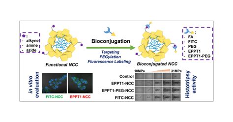 Bioconjugated β Cyclodextrin Perfluorohexane Nanocone Clusters As Functional Nanoparticles For