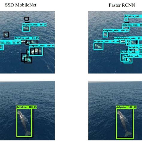 Comparison Of The Trained Models Ssd Mobilenet V2 And Faster R Cnn