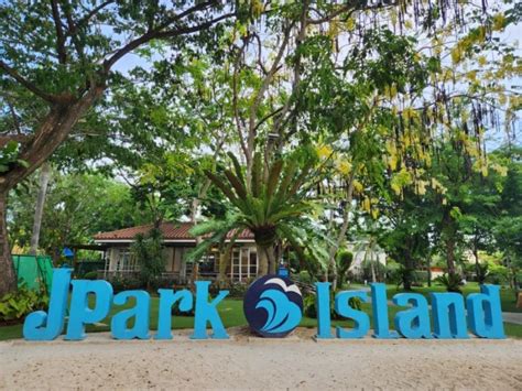 필리핀 세부 4박6일 2 제이파크 아일랜드 B동 디럭스룸 아발론 조식and중식 마트 네이버 블로그