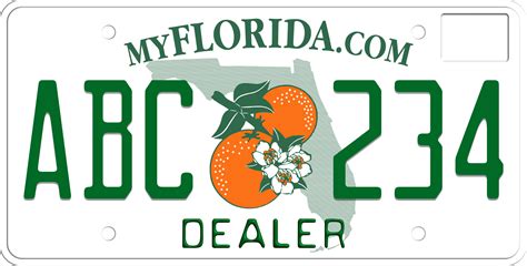 Florida Personalized Plates Custom License Plate Florida License