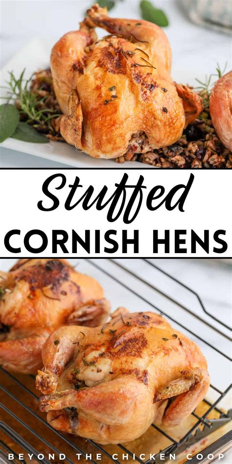 Best 12 What Is A Cornish Hen How Does It Differ From Regular Chicken