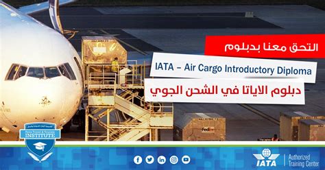 Mina Ghali Minaghali Twitter