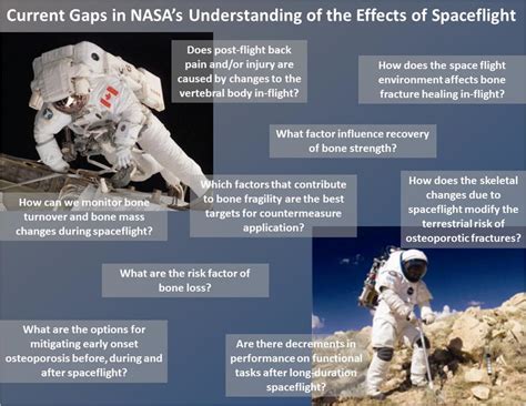 Astronaut Muscle Atrophy On Earth