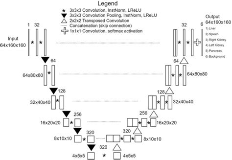 Fully Automated Multi Organ Segmentation Tool Applicable To Both Non Contrast And Post Contrast