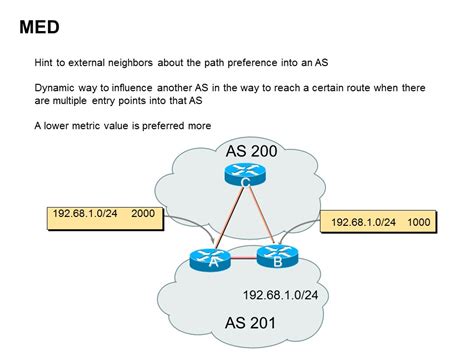 Networking And Scripting Bgp Basics