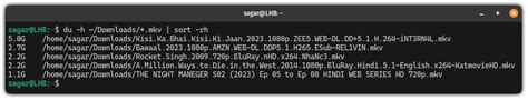 Sort Du Command Output By Size In Linux