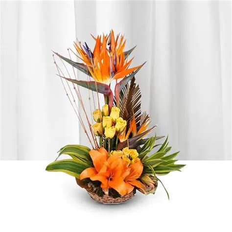 buy send paradise on earth online floraindia
