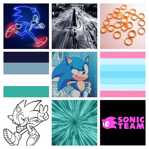 Personalized Pride Flags — Sonic Character Based Oriented Aroace And