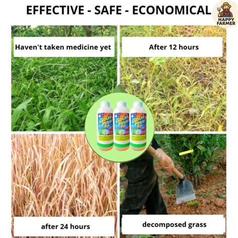 Grass Zero Grasszero Glyphosate Post Emergent Herbicide Weed