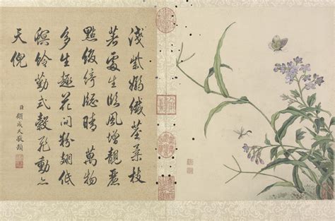 蒋廷锡绘花卉册自然恰合意度堂堂