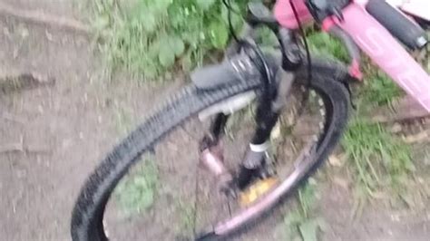 Заводская лига Stels 6100 велосипед розовый Дзен