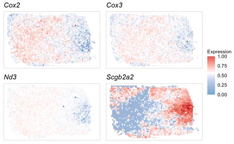 Srtpipeline Embedding And Spatial Clustering For Single Sample