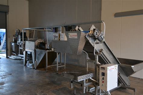 Processing Sorting Cutting And Packing Line For Fresh Peeled