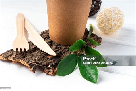 공예 종이 커피 컵 녹색 잎 새싹 나무 껍질 및 재활용 된 칼톱 보기 제로 폐기물 친환경 천연 유기농 플라스틱 프리 컨셉 복사 공간으로 생분해성 지구 0에 대한 스톡 사진