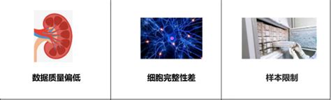 核”以解忧 单细胞核测序绘制 核心”单细胞图谱 知乎