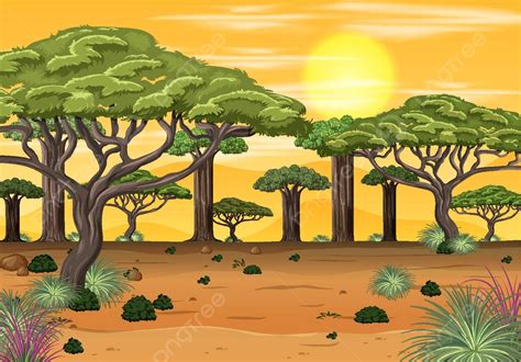 African Forest Landscape Background Vector African Outside Vector Vector African Outside Png