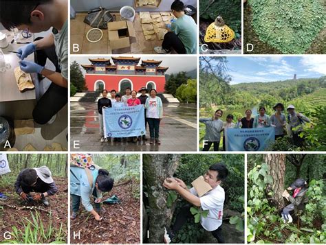 科技基础资源调查专项“大别山区生物多样性综合科学考察”河南省境内大型真菌和地衣多样性考察取得圆满成功 国家动物标本资源库