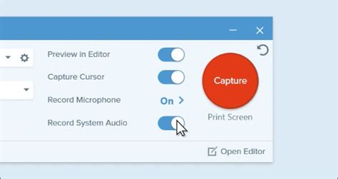 How To Use Snagit To Record Screen