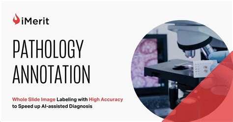 Data Annotation For Digital Pathology Imerit
