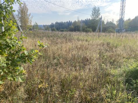 Земли поселения Московская область городской округ Истра деревня