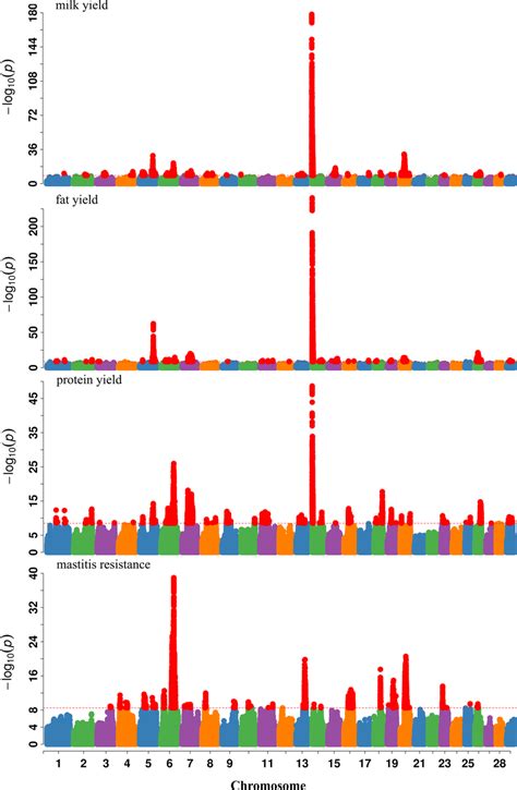 Manhattan Plots For Single Trait Gwas For Fat Yield Fy Protein Yield