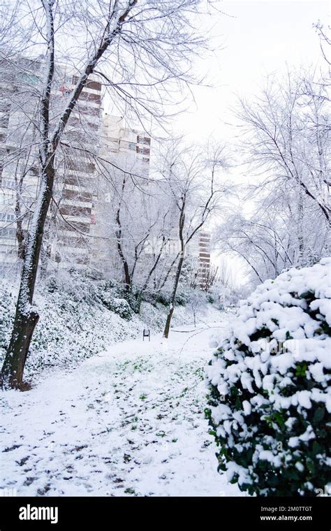 Snow Blair Wind Street Winter Cold Record White Cloak Forest