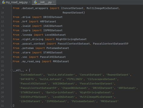 Customdataset Is Not The Dataset Registry · Issue 1588 · Open Mmlab