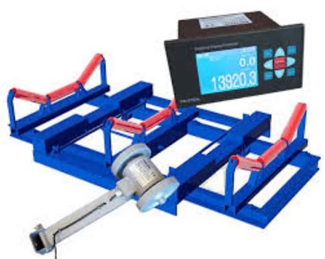 Conveyor Scales At Best Price In Mumbai By Delite Systems Engineering India Pvt Ltd Id