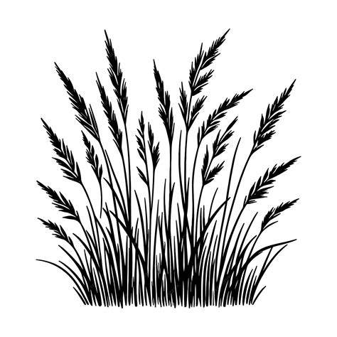 Premium Vector A Black And White Drawing Of Grass With The Words Wild