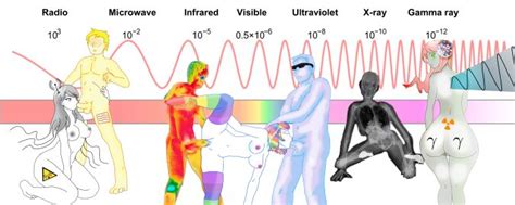 Rule34 If It Exists There Is Porn Of It Spectrum