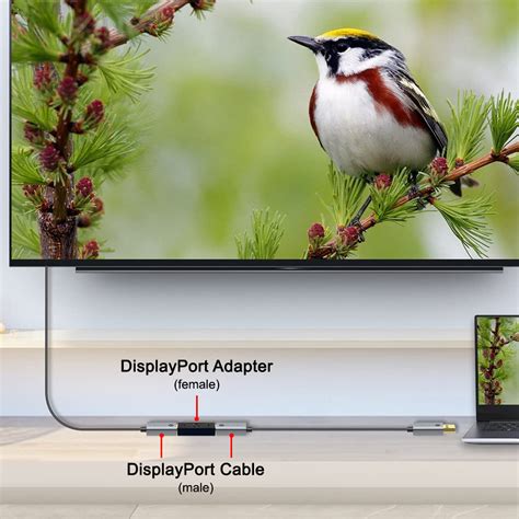 Female DisplayPort To Female Extender Adapter