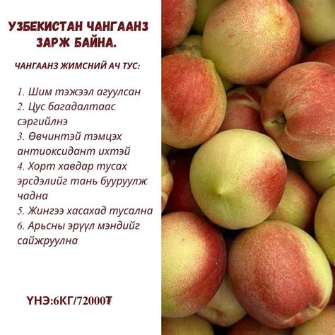 Узбек Жимс Жимсгэнэ Хүнсний Ногоо Худалдаа Ulaanbaatar