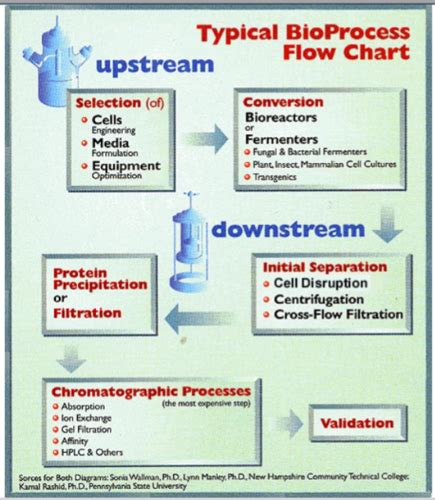 Btec 4200 Test 2 Flashcards Quizlet