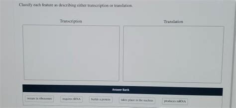 Solved Classify Each Feature As Describing Either