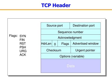 Ppt Tcpip Powerpoint Presentation Free Download Id142234