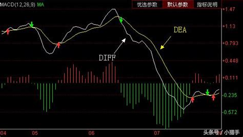 炒股技巧学习：macd指标的运用中金在线财经号