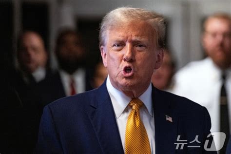 독일어 제3제국이 왜 나와트럼프 선거 동영상 나치 용어 사용 뉴스1