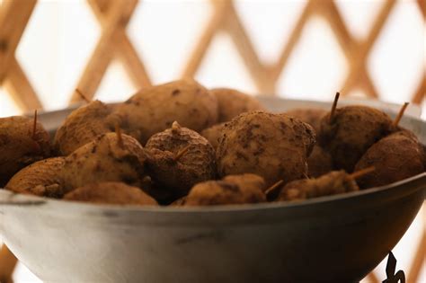 Ara Complex Ara Fest 2025 English Below 📆 “АЯЛЛАА АРХАНГАЙ 2024” ХӨТӨЛБӨР ПОСТ 1 Nomadic