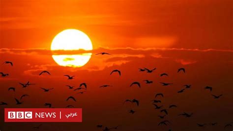 بي بي سي عربي الأمم المتحدة تقول إن طبقة الأوزون قد تتعافى خلال عقود فقط