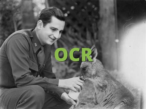 Ocr Meaning